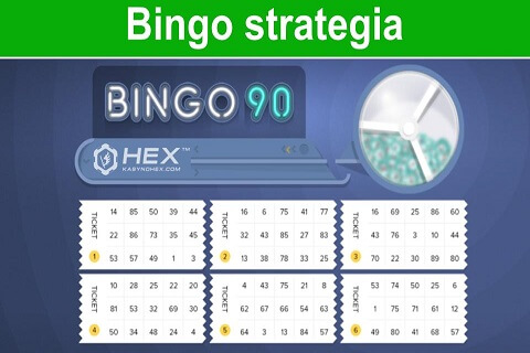 Jak Grać w Bingo? ᐉ Wskazówki Dla Początkujących